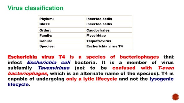 Bacteriophage- types, structure and morphology of t4 phage ...