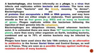 M S2 Bacteriophage Diagram