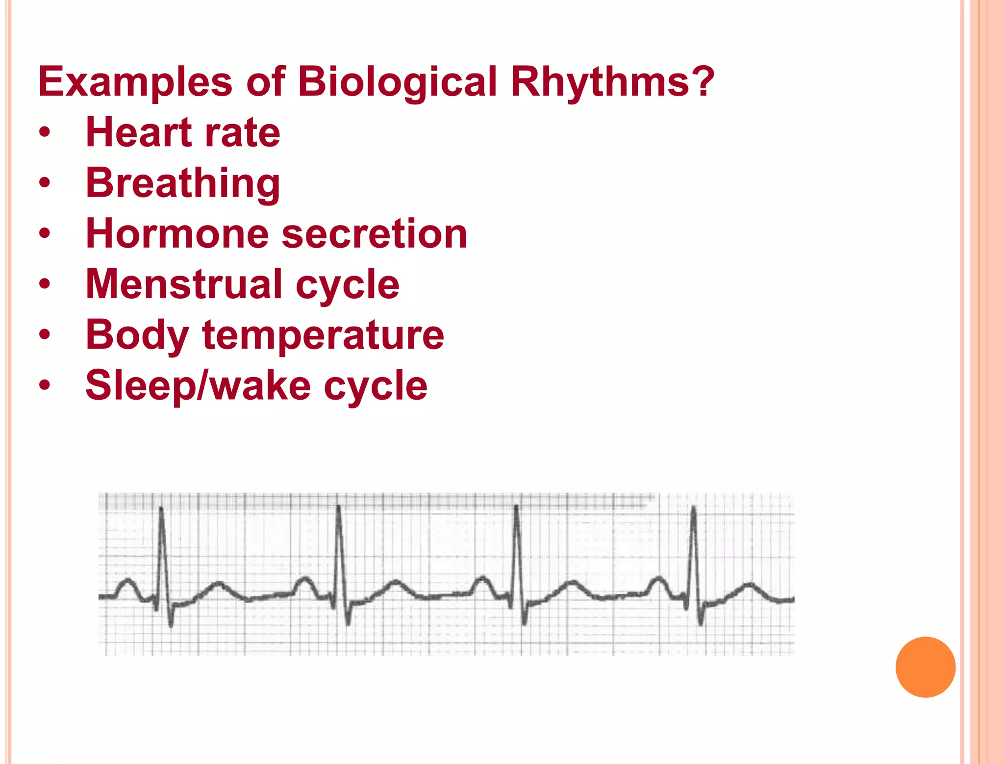 Biological Rhythms | PPT