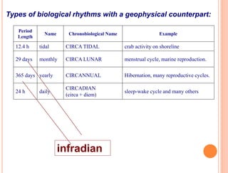 Biological Rhythms | PPT