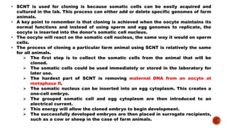 Cloning | PPT