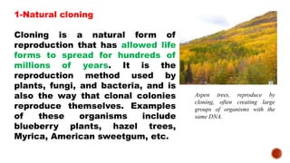Cloning | PPT