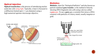 Cloning | PPT