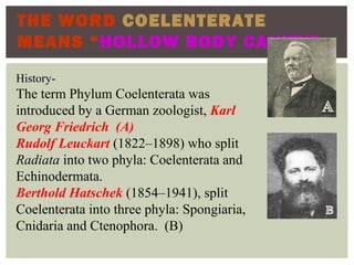 Coelenterates - classification and gen characters | PPT | Biological ...