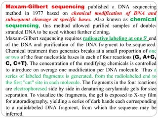 DNA sequencing- Maxam- Gilbert sequencing | PPT