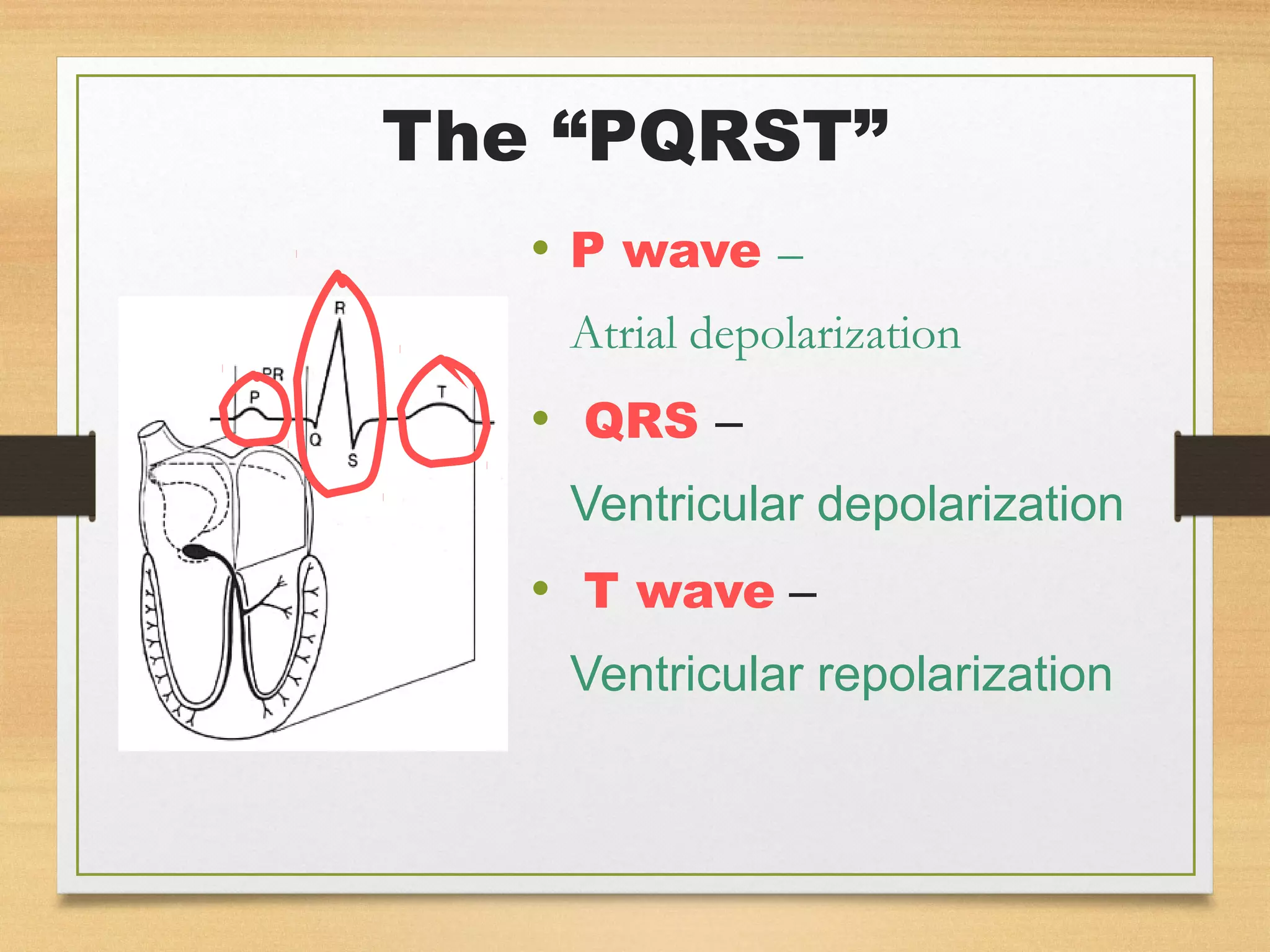 Electro Cardio Gram - Basics of ECG | PPT