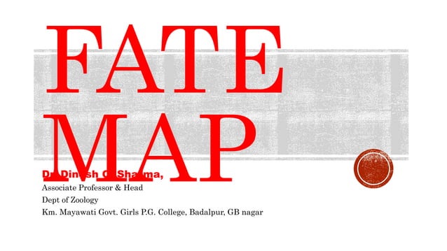 FATE Map | PPT | Geography | Science