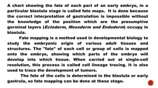 FATE Map | PPT | Geography | Science