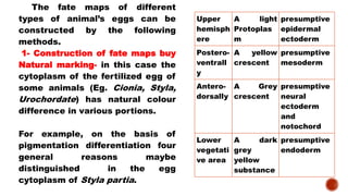 FATE Map | PPT | Geography | Science