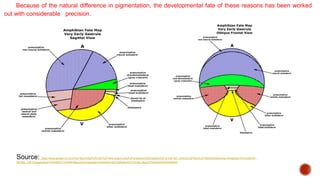 FATE Map | PPT | Geography | Science