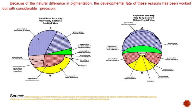 FATE Map | PPT | Geography | Science