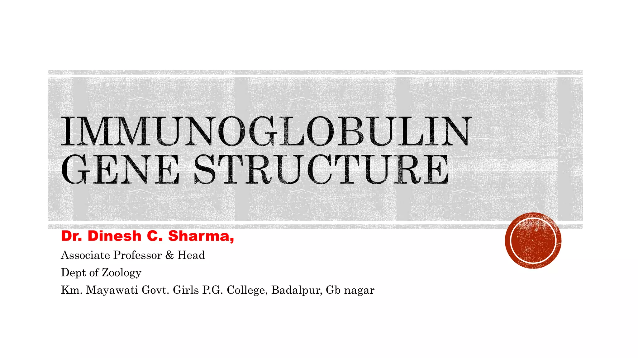 Immunoglobulin Gene Structure | PPT