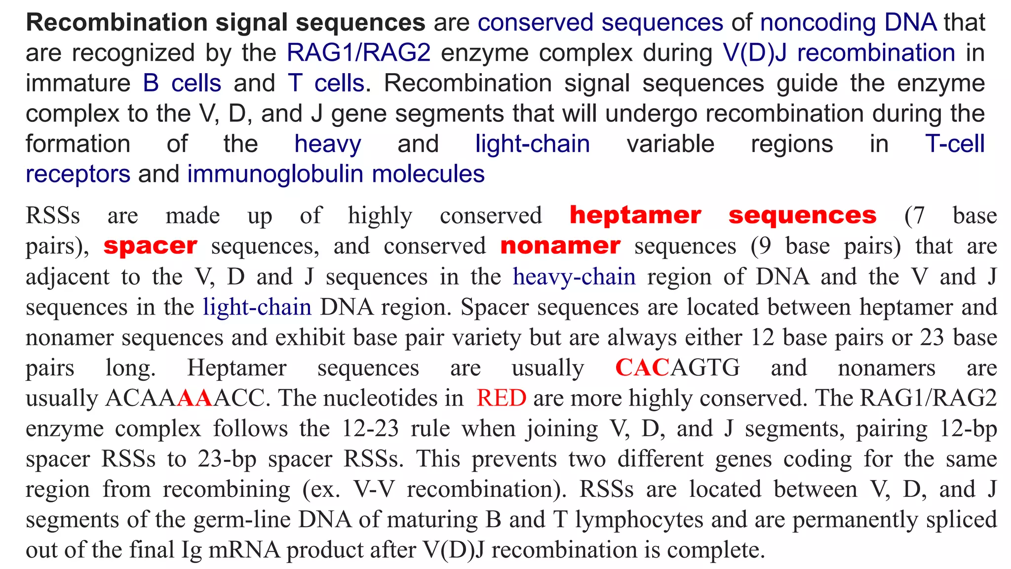 Immunoglobulin Gene Structure | PPT