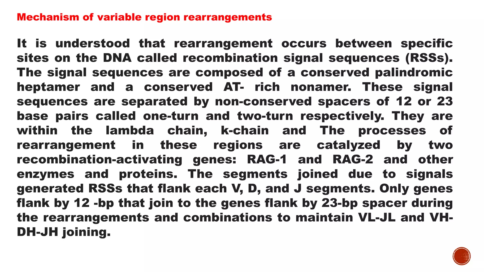 Organization and expression of immunoglobulin genes | PPT
