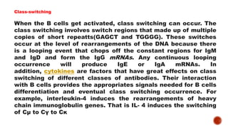 Organization and expression of immunoglobulin genes | PPT