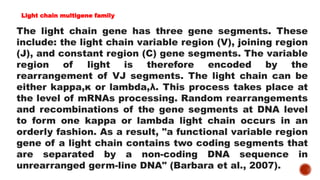 Organization and expression of immunoglobulin genes | PPT
