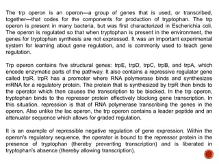 Operon Modal of Gene Regulation | PPT