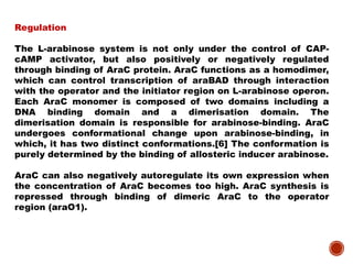 Operon Modal of Gene Regulation | PPT