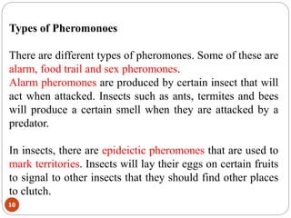 Pheromone | PPT