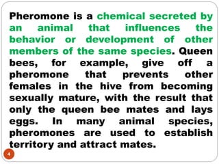 Pheromone | PPT