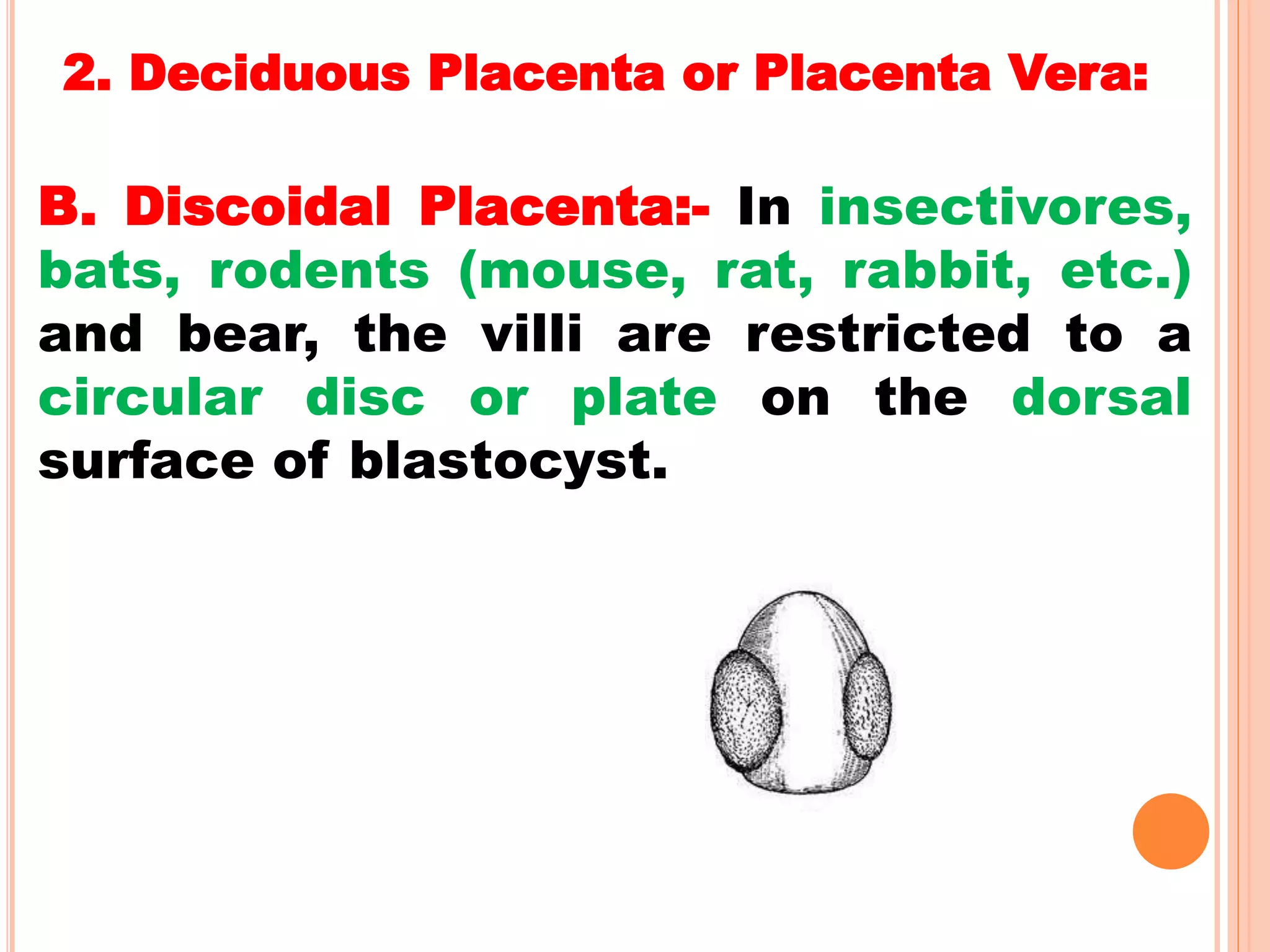 Placenta structure and Classification | PPT