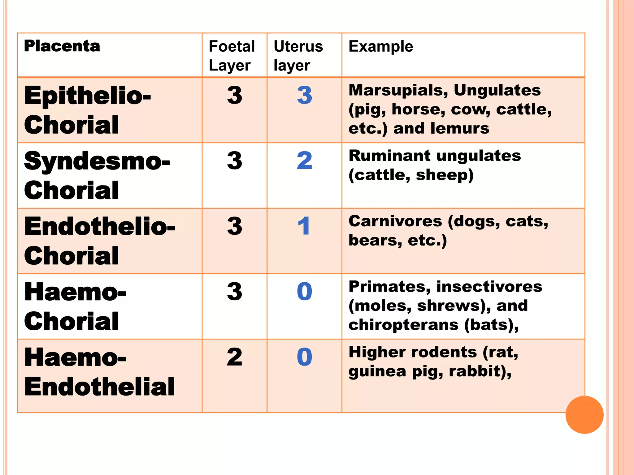 Placenta structure and Classification | PPT
