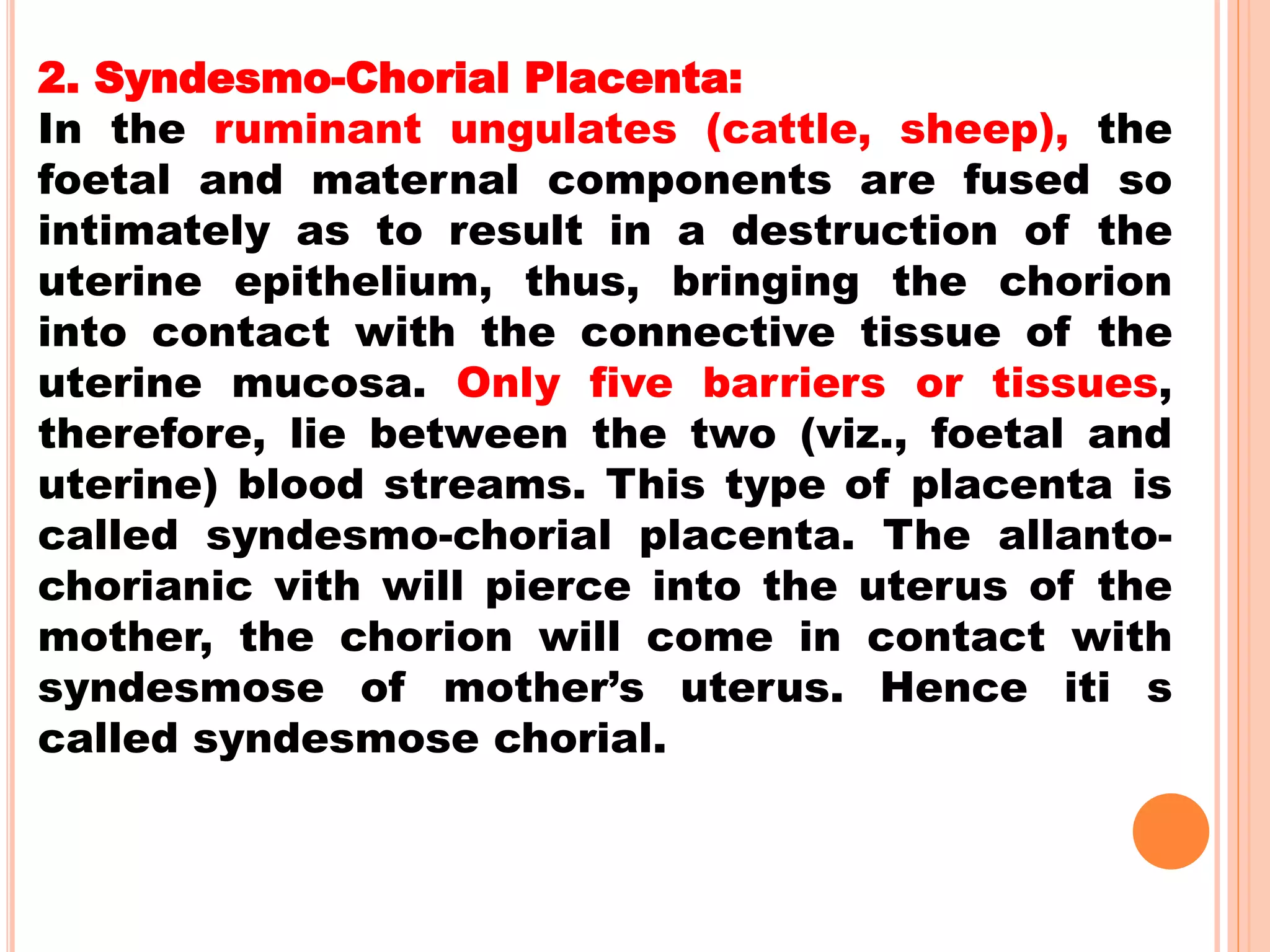 Placenta structure and Classification | PPT