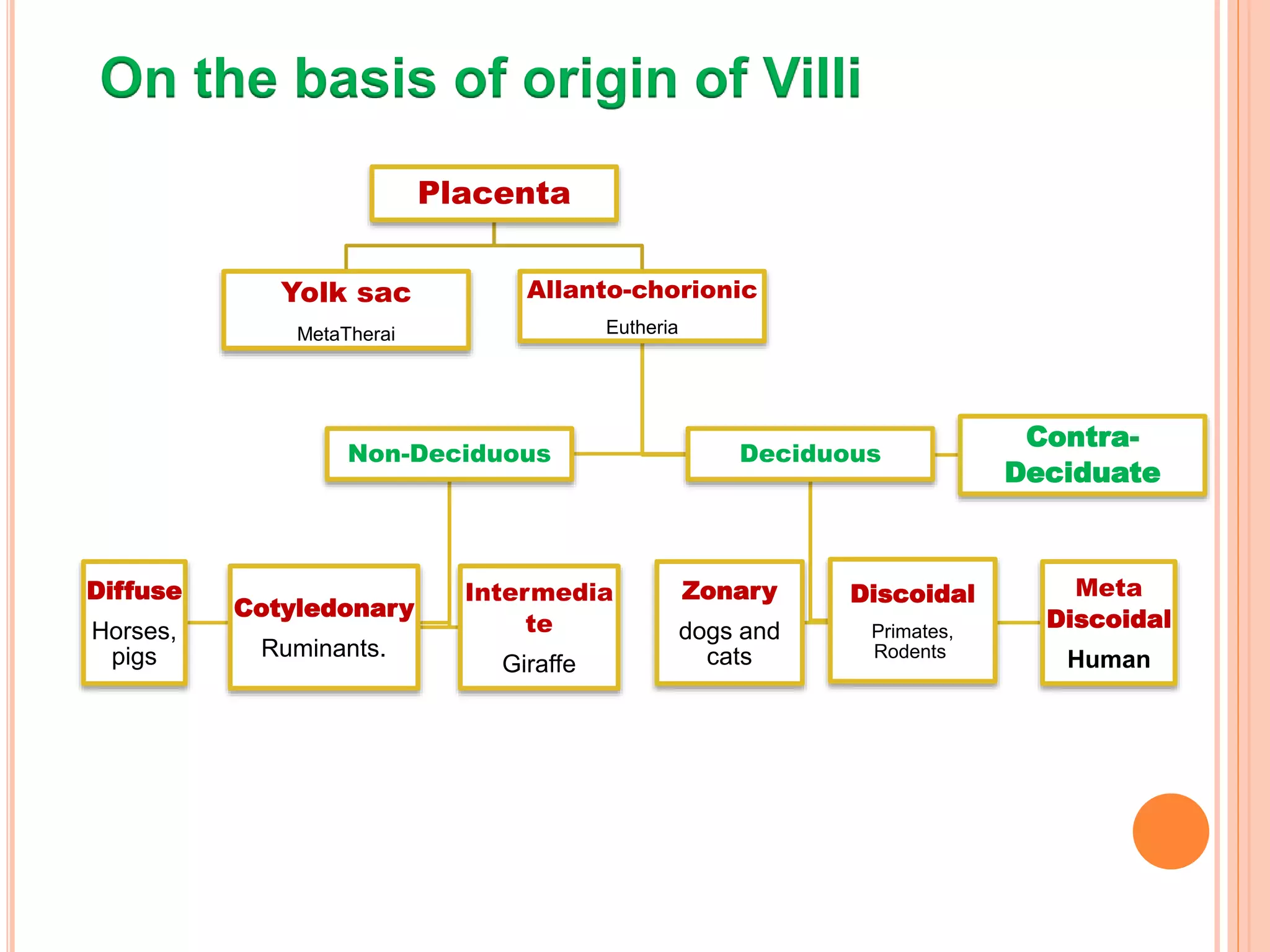 Placenta structure and Classification | PPT
