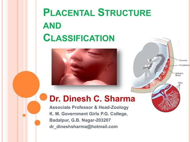 Placenta structure and Classification | PPT | Pregnancy | Reproductive ...