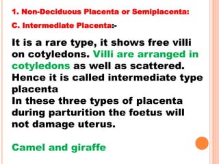 Placenta structure and Classification | PPT