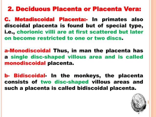Placenta structure and Classification | PPT | Pregnancy | Reproductive ...