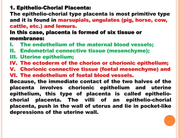 Placenta structure and Classification | PPT | Pregnancy | Reproductive ...