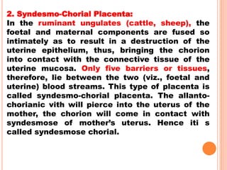 Placenta structure and Classification | PPT