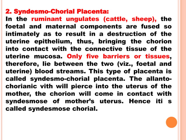 Placenta structure and Classification | PPT | Pregnancy | Reproductive ...