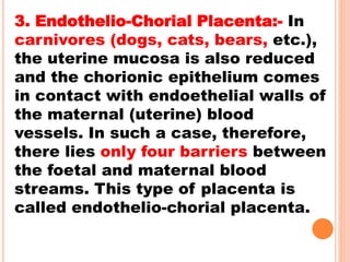 Placenta structure and Classification | PPT