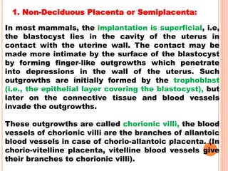 Placenta structure and Classification | PPT