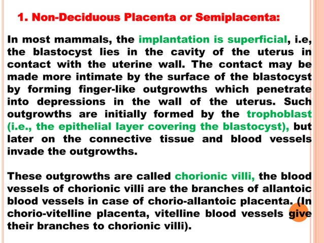 Placenta structure and Classification | PPT | Pregnancy | Reproductive ...