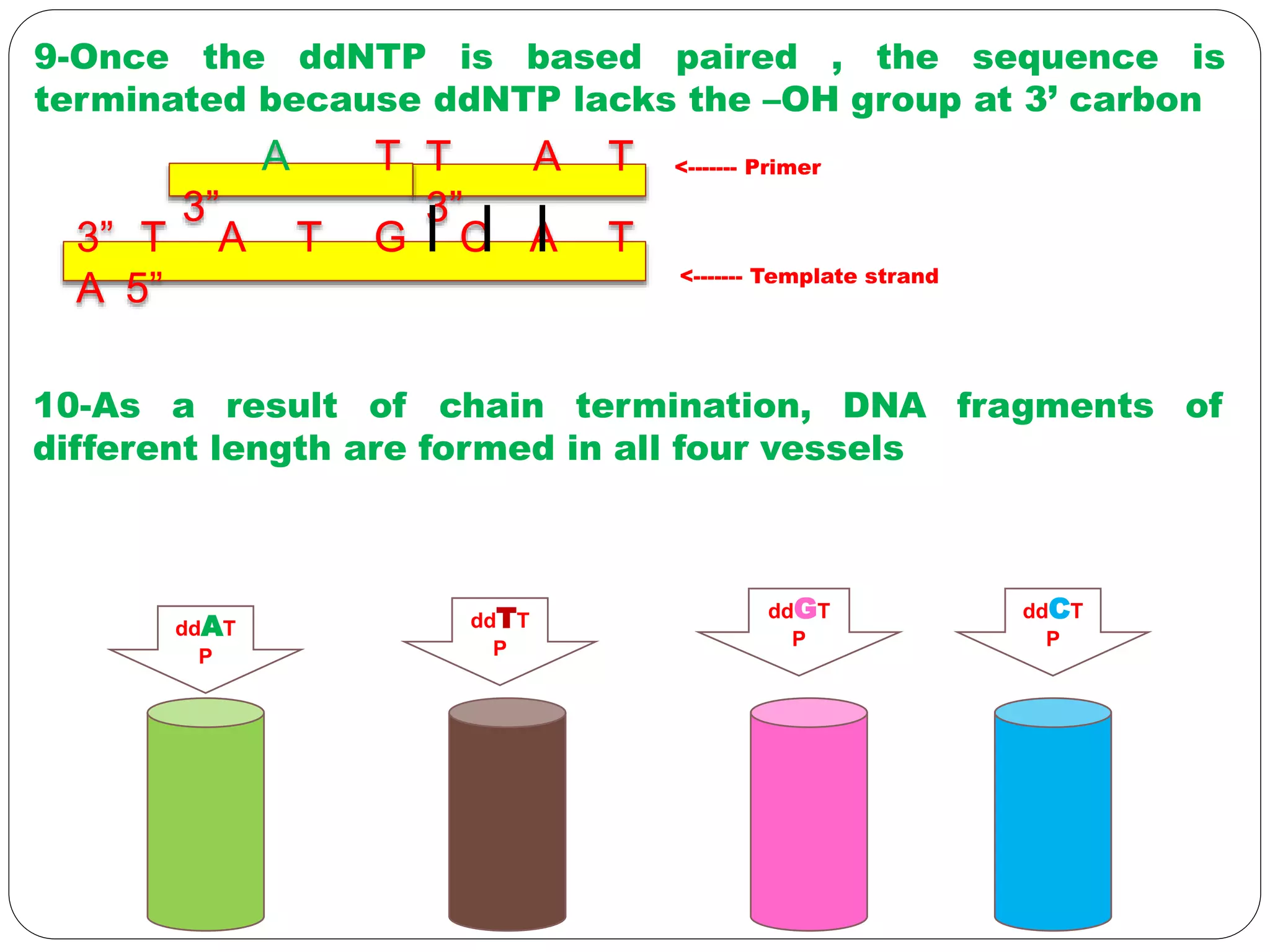 Sanger sequencing method of DNA | PPT