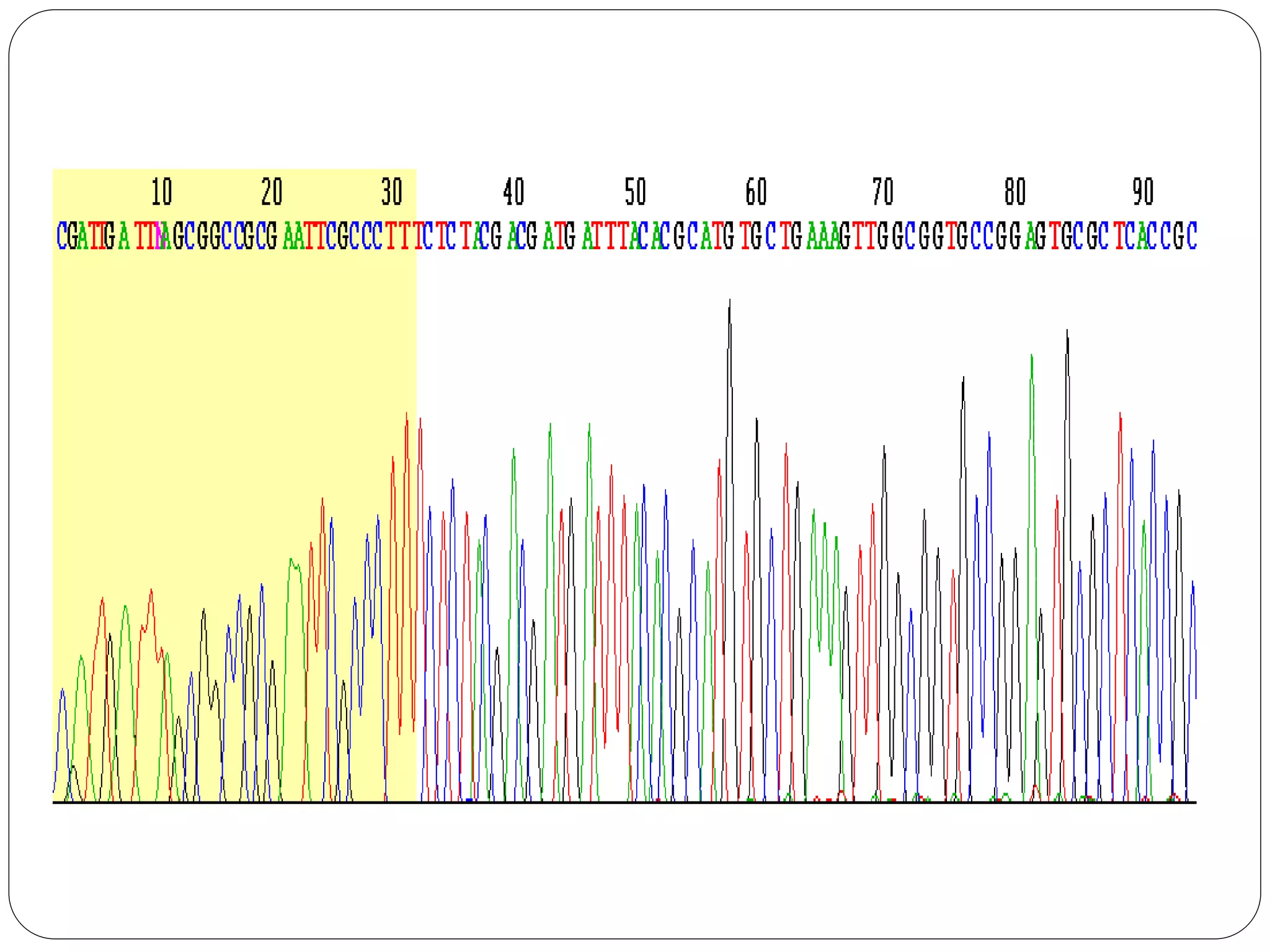 Sanger sequencing method of DNA | PPT