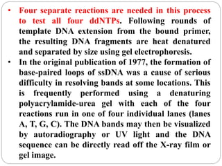 Sanger sequencing method of DNA | PPT