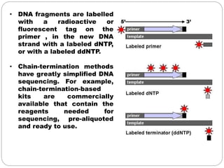 Sanger sequencing method of DNA | PPT