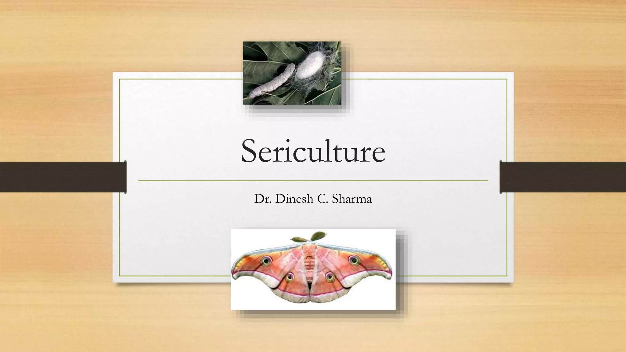 Sericulture | PPT