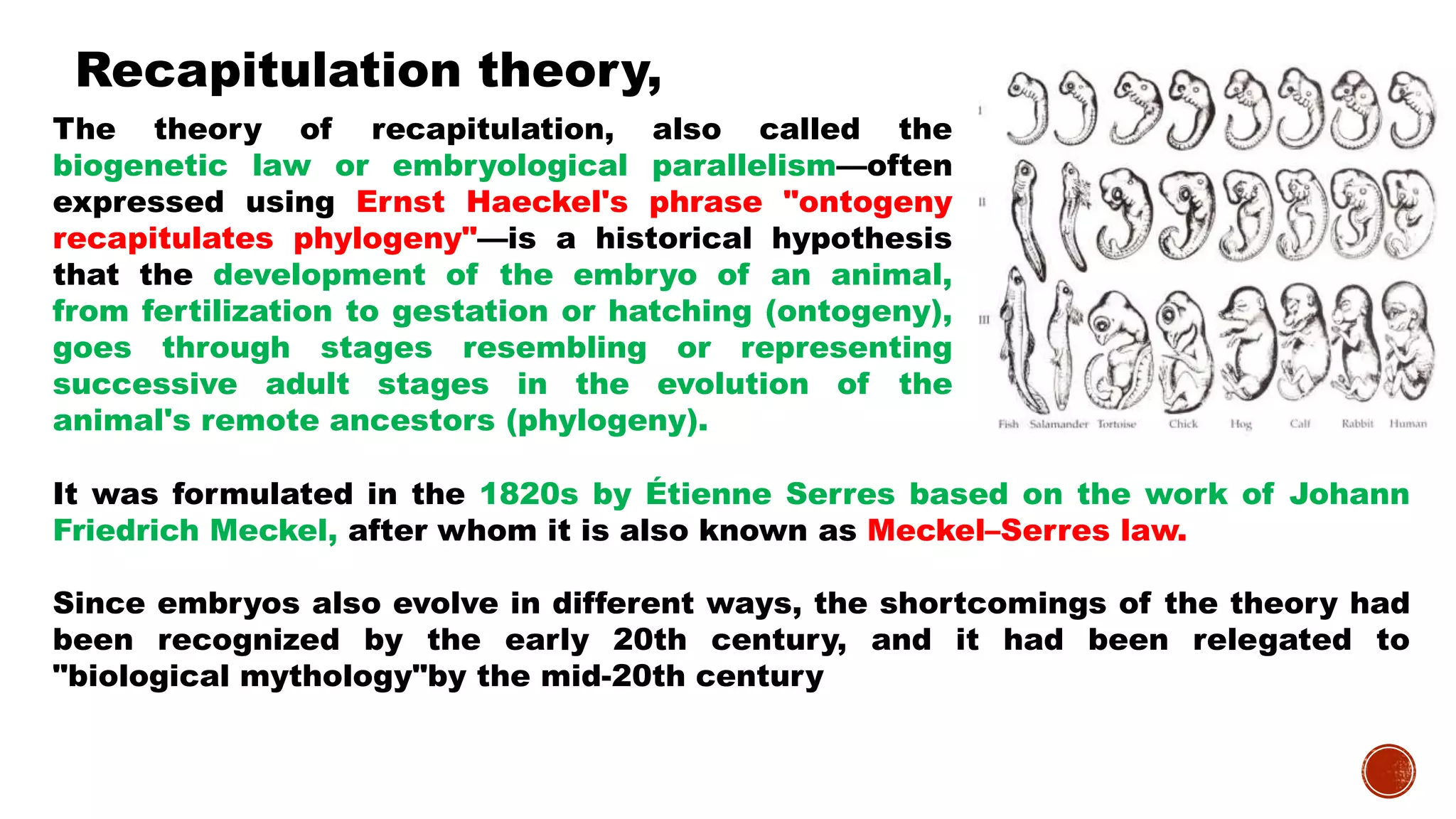 Theories of embryonic development | PPT