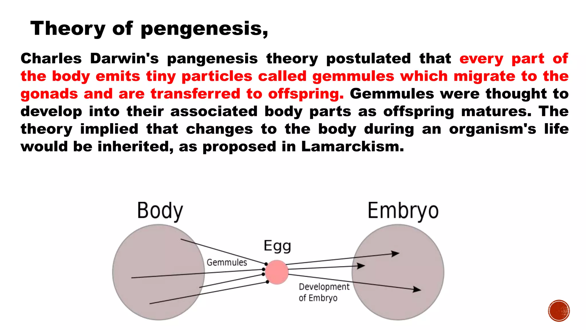 Theories of embryonic development | PPT