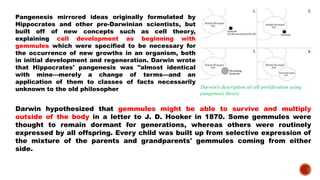 Theories of embryonic development | PPT