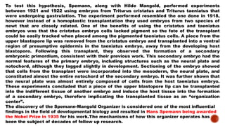 Theories of embryonic development | PPT