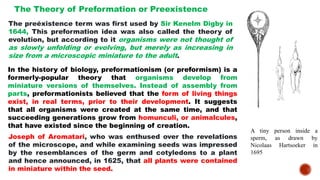 Theories of embryonic development | PPT