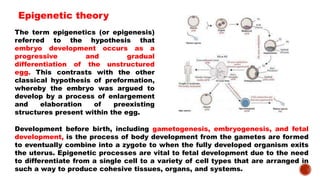 Theories of embryonic development | PPT