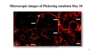 Stabilization of Pickering emulsion using Octenyl succinic anhydride ...
