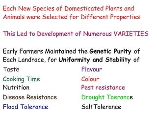 Maintaining Genetic Purity of Crop Landraces | PDF